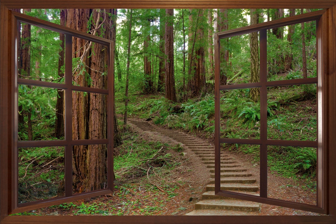 Wall Mural Window, Self Adhesive, Forest Window View-brown Open Window ...