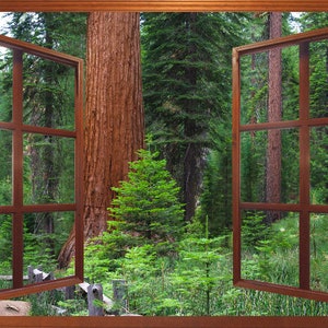 Wall Mural Window, Self Adhesive, Forest Window View-4 Sizes Available ...