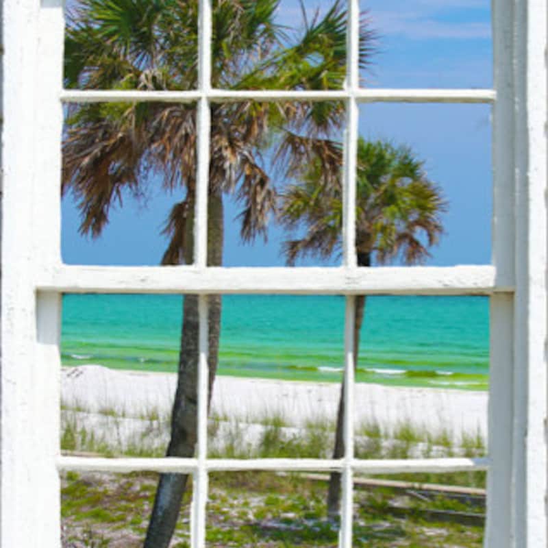 Window Film Palm - Etsy