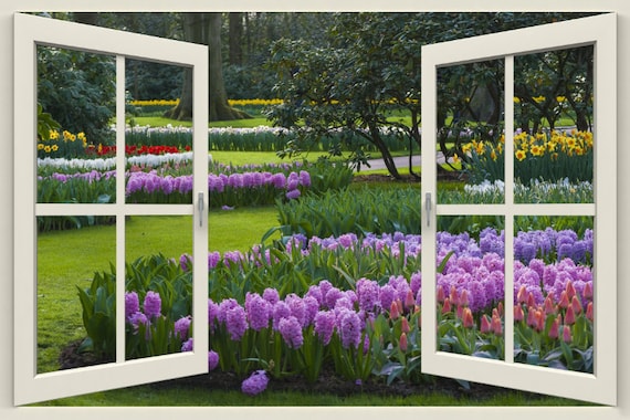 Window View Of Garden