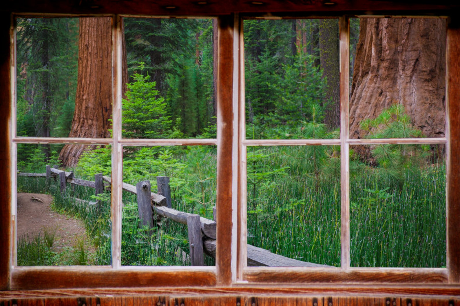 Wall Mural Window Self Adhesive Forest Window View-3 Sizes - Etsy