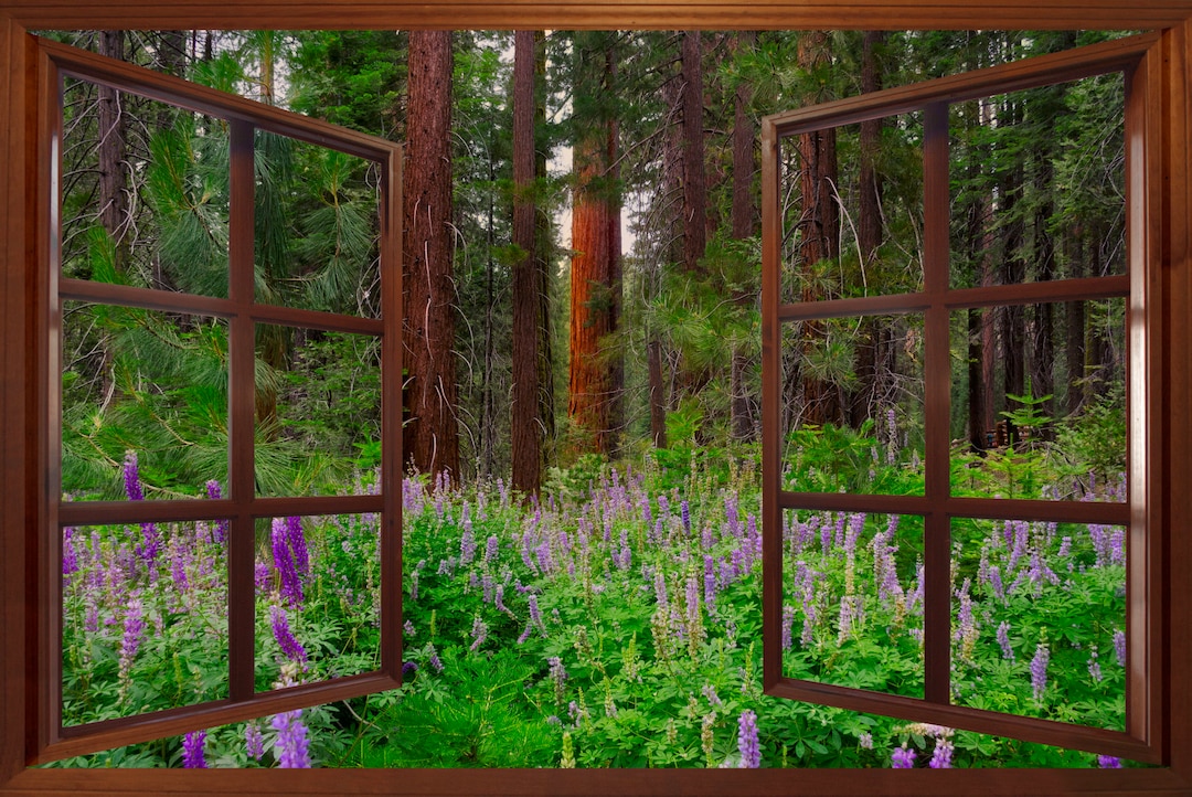 Wall Mural Window, Self Adhesive, Forest Window View-brown Frame ...