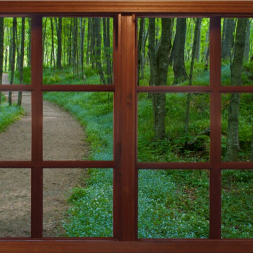 Wall Mural Window Self Adhesive Forest Window View Muir | Etsy