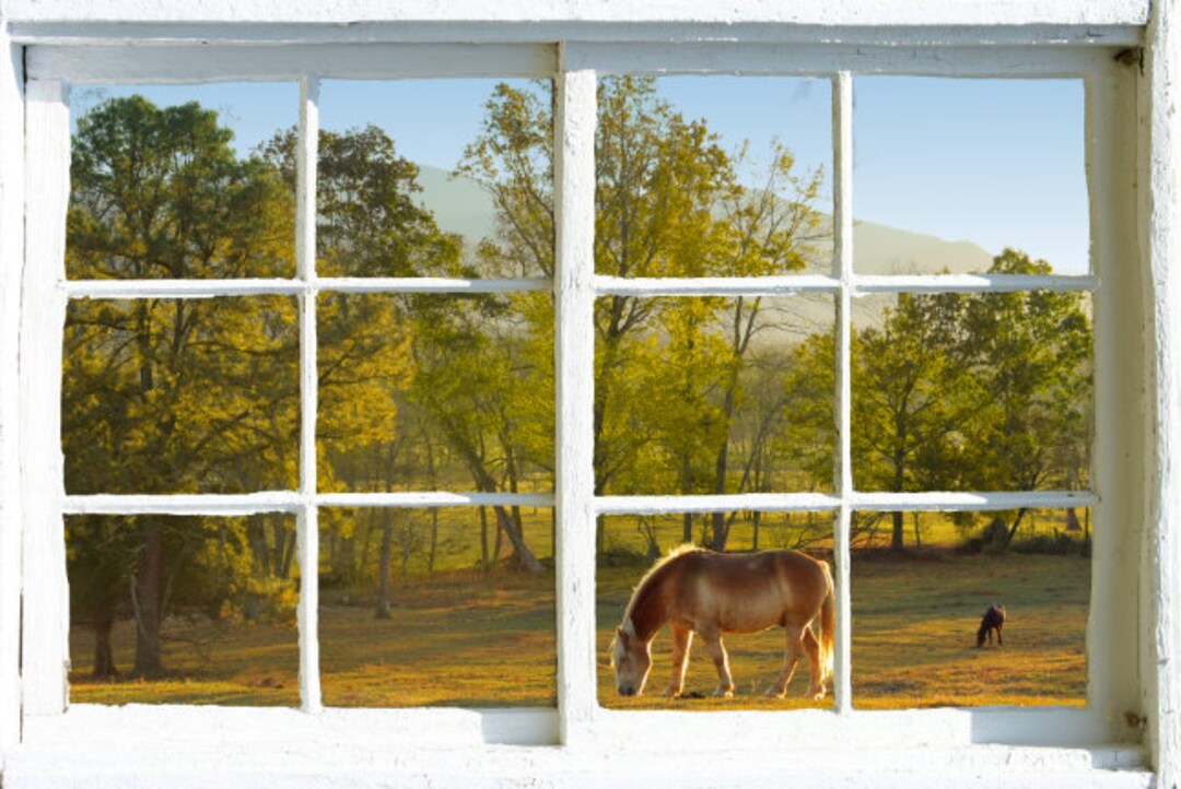 Wall Mural Window, Self Adhesive, Green Cades Cove Window View-perfect ...