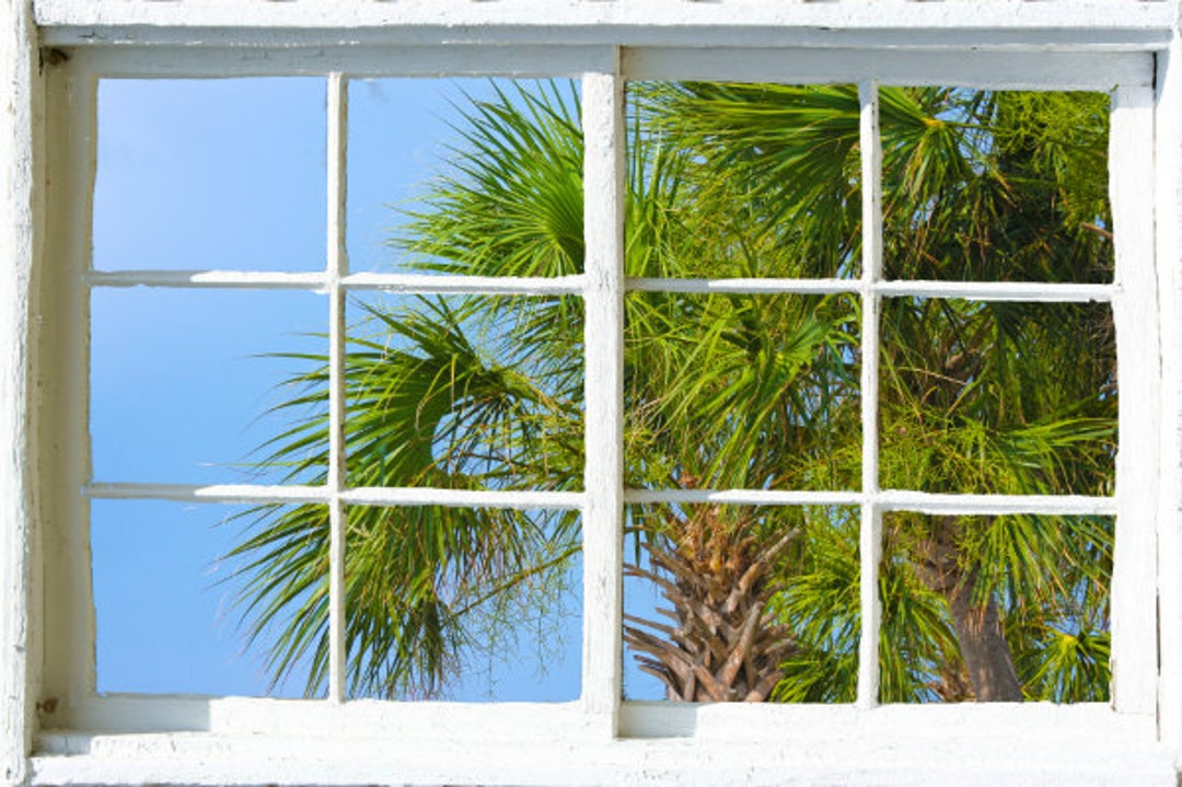 Wall Mural Window, Self Adhesive, Window View-3 Sizes Available-palm ...