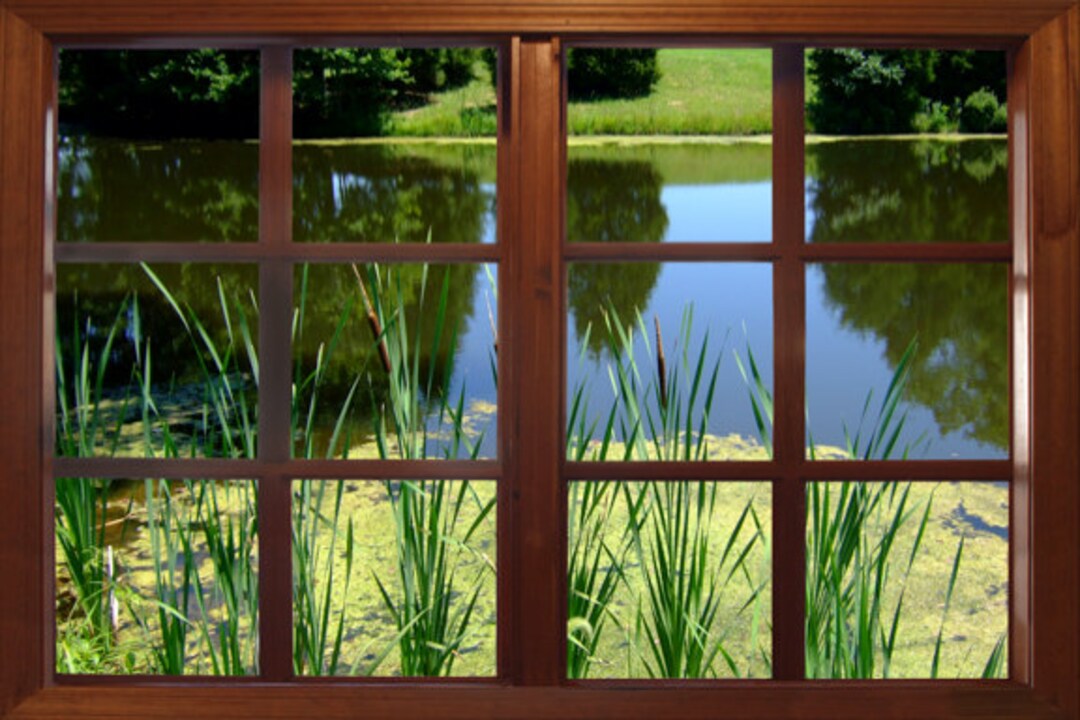 Wall Mural Window, Self Adhesive, Pond and Cattails Window View-3 Sizes ...