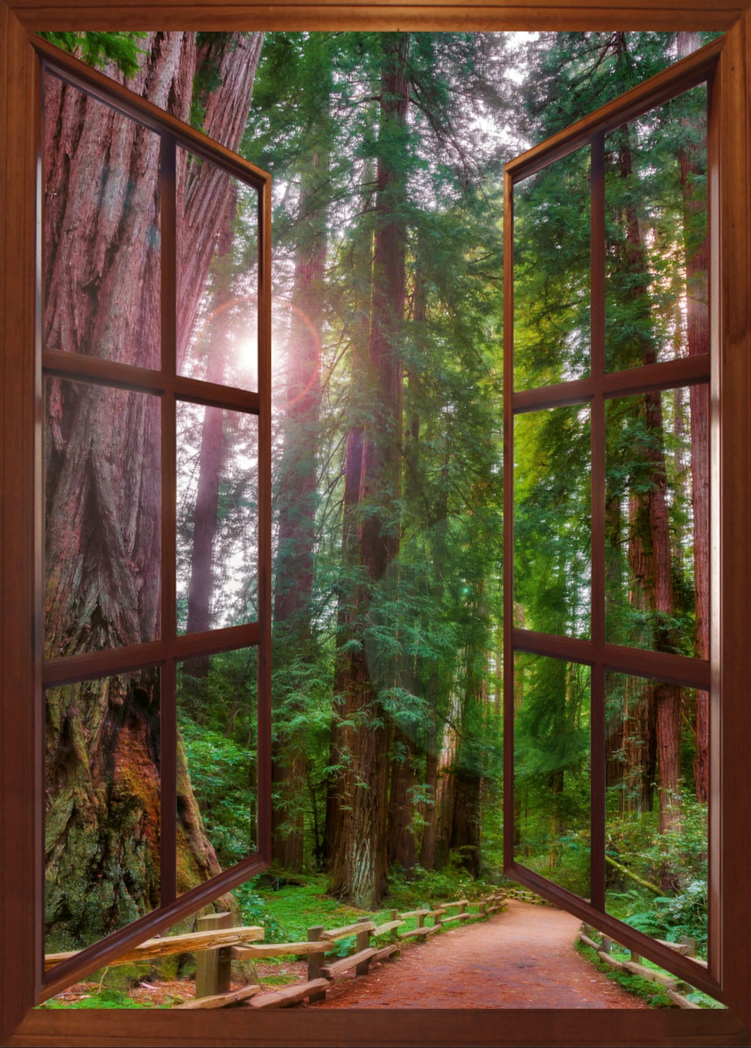 Wall Mural Window, Self Adhesive, Forest Window View- Muir Woods - Open ...