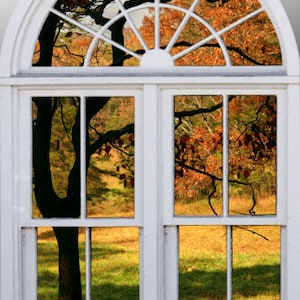 Wall Mural Window, Self Adhesive, View of Tennessee Meadow- Window View ...