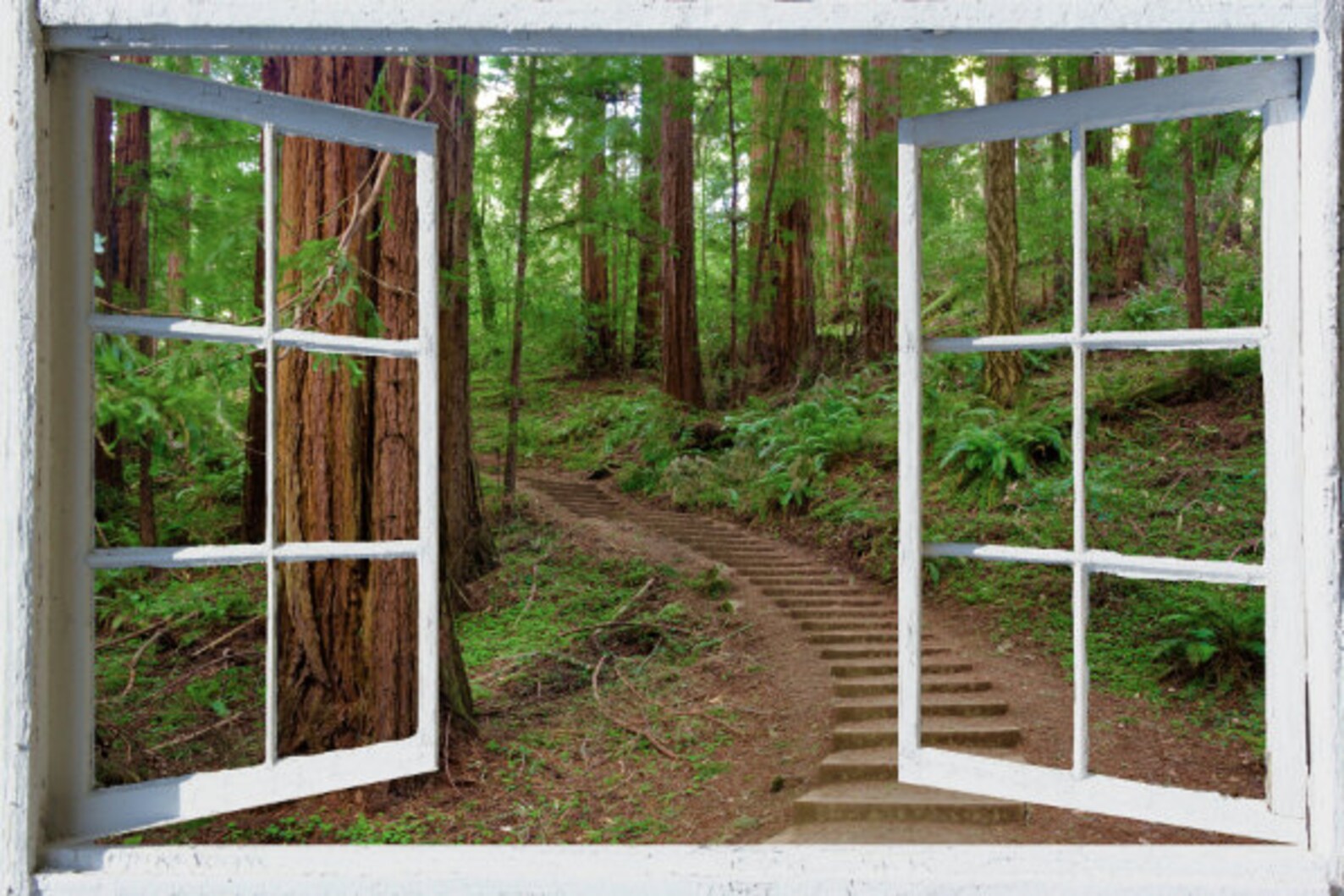 Wall Mural Window Self Adhesive Forest Window View-4 Sizes | Etsy
