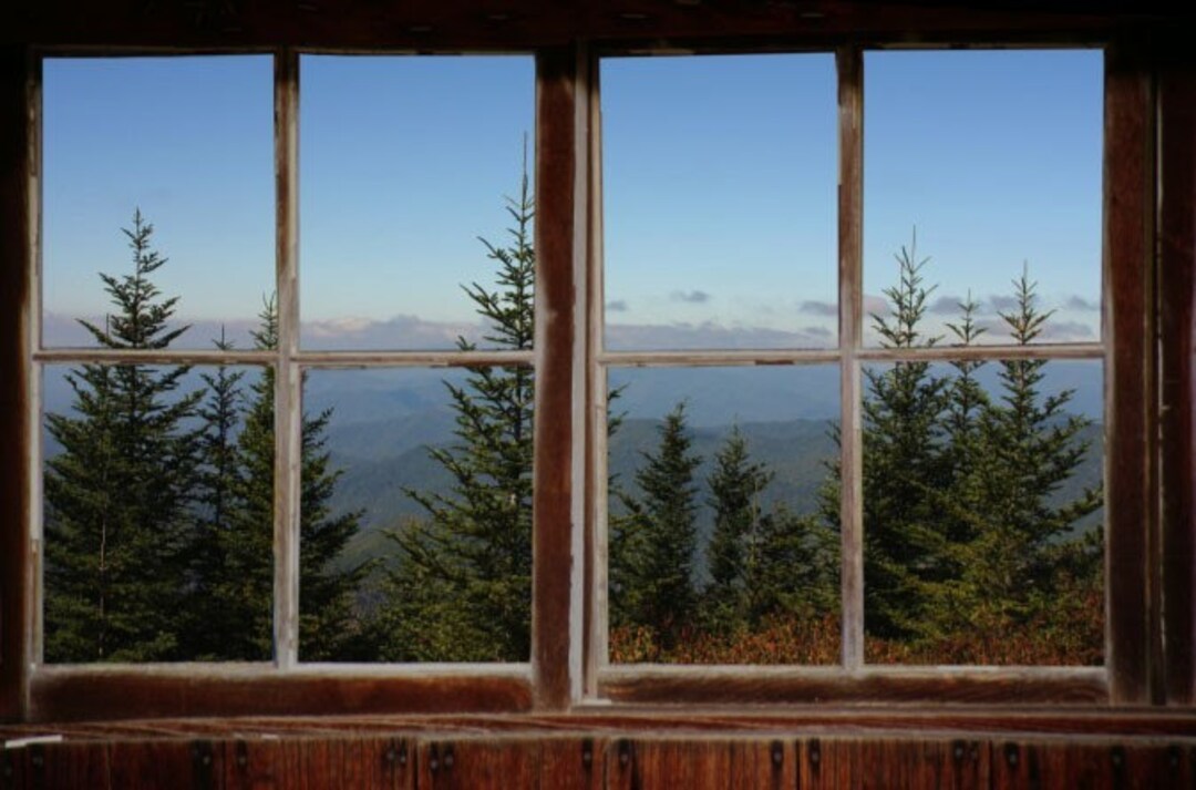 Wall Mural Window, Self Adhesive, View Thru Fir Trees- Window View-2 ...