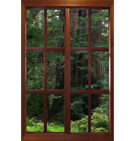 Wall Mural Window Self Adhesive Forest Window | Etsy