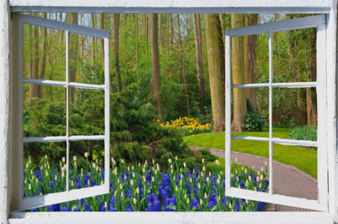 Wall Mural Window, Self Adhesive -holland, Open Window View-3 Sizes ...