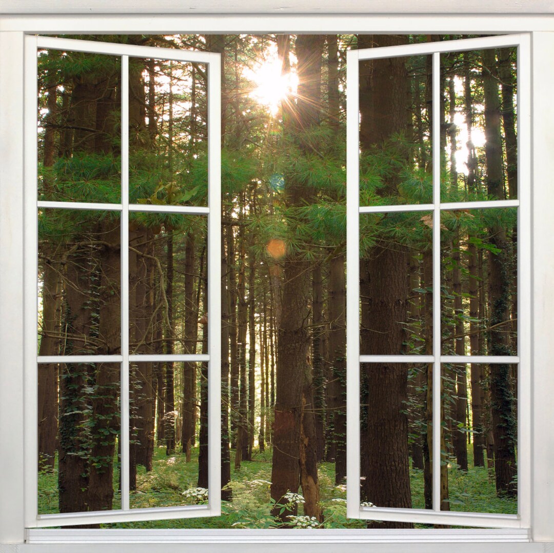 Wall Mural Window, Self Adhesive, Indiana Open Window View-3 Sizes ...