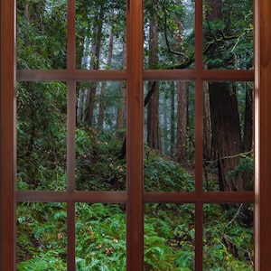 Wall Mural Window Self Adhesive Forest Window | Etsy