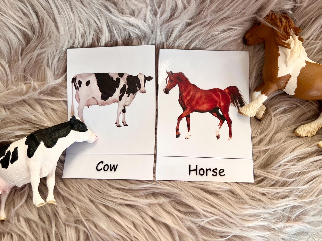English Farm Animal Flashcard Montessori Realistic Picture Animal Flash ...