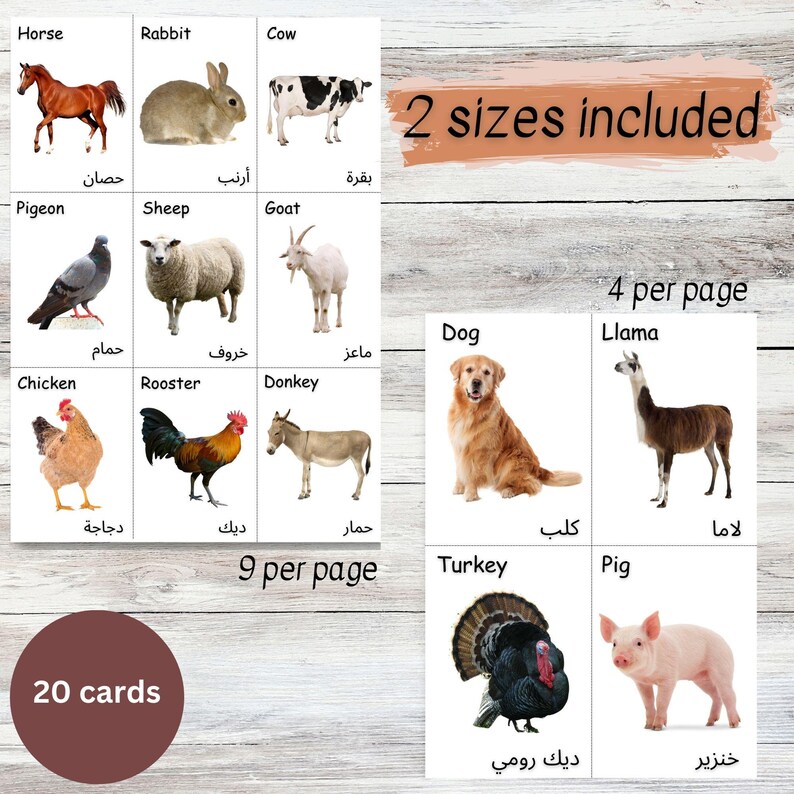Bilingual Farm Animals Flashcards Montessori in English and Arabic for ...