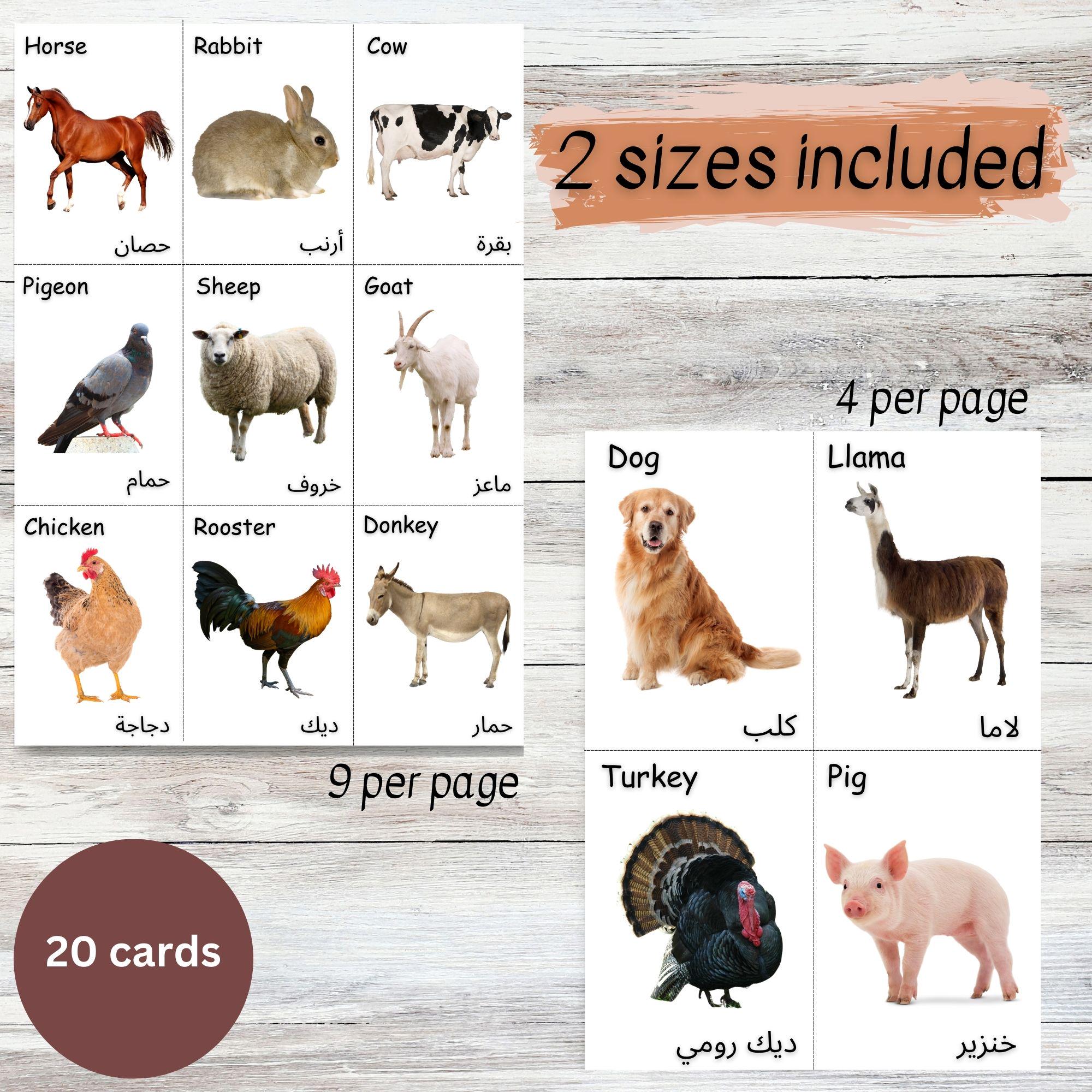 Bilingual Farm Animals Flashcards Montessori in English and Arabic for ...
