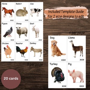 Editable Farm Animals Cards Montessori Real Animals Flashcards for ...