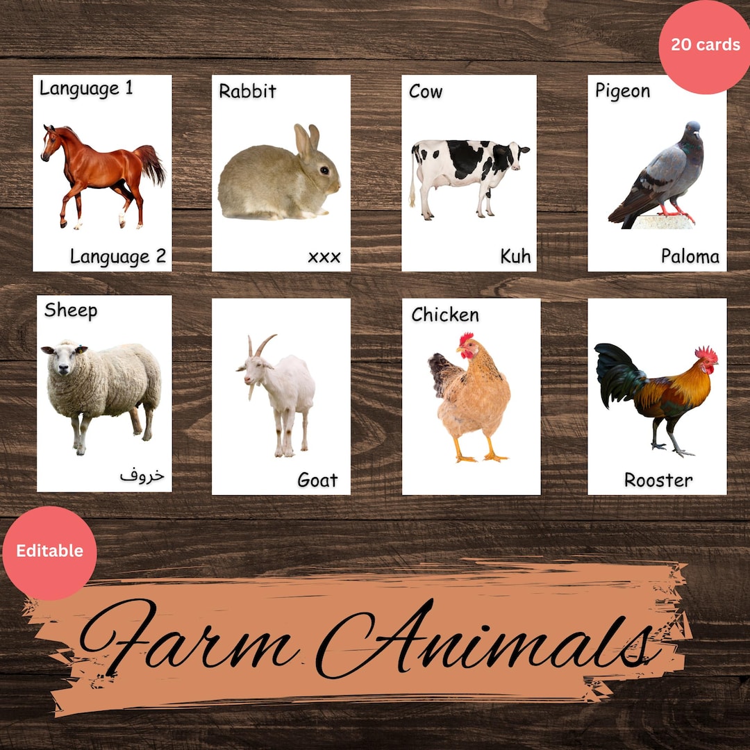 Editable Farm Animals Cards Montessori Real Animals Flashcards for ...