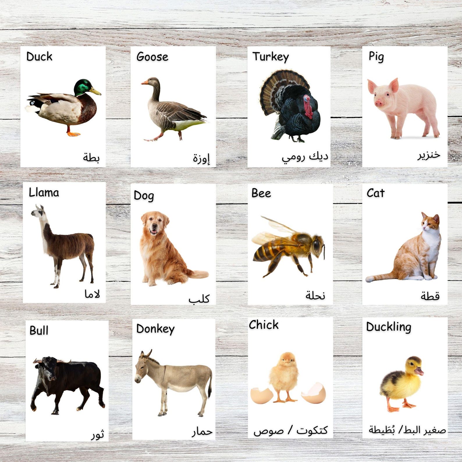 Bilingual Farm Animals Flashcards Montessori in English and Arabic for ...