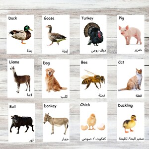 Bilingual Farm Animals Flashcards Montessori in English and Arabic for ...