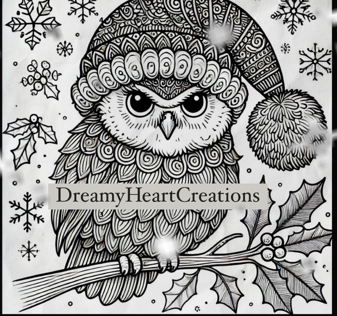 Christmas Owl Coloring Page Festive Holiday Activity - Etsy