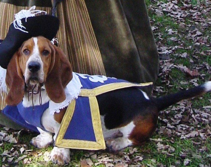 Three 3 Musketeer Dog Pet Costume Outfit by Mattionline on Etsy - Etsy