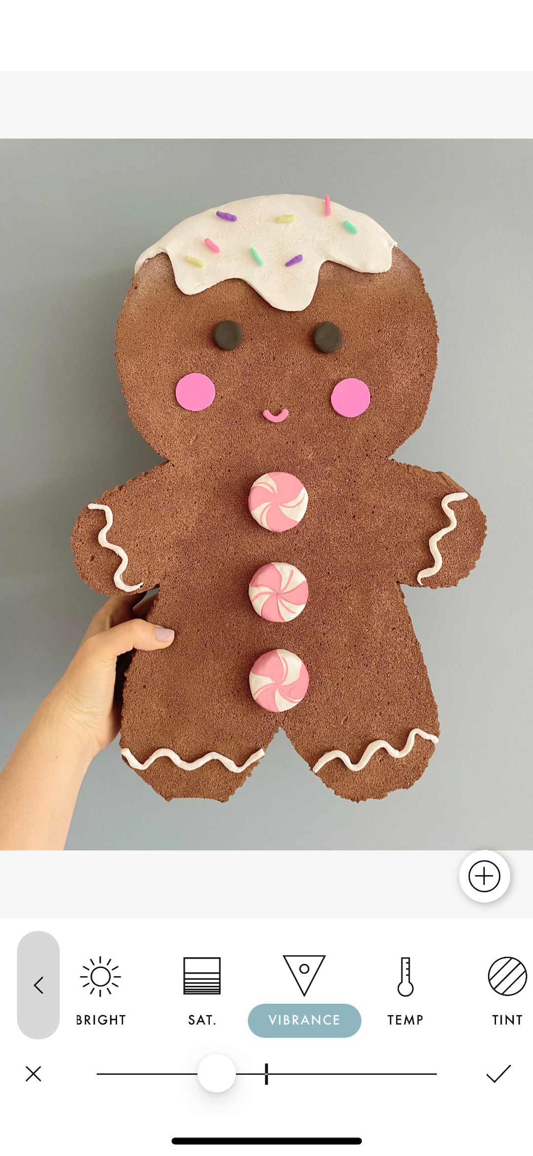 Giant Gingerbread Man Fake Bake, Christmas Decoration. Candyland Decor ...
