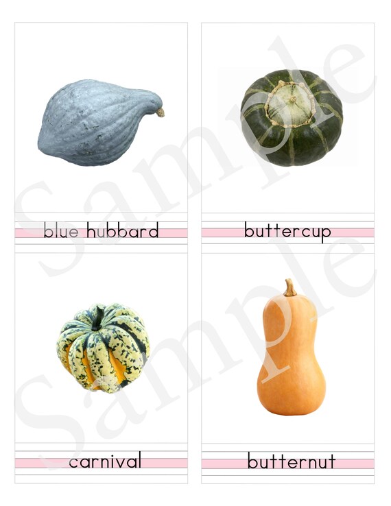 Types Of Squash And Their Names