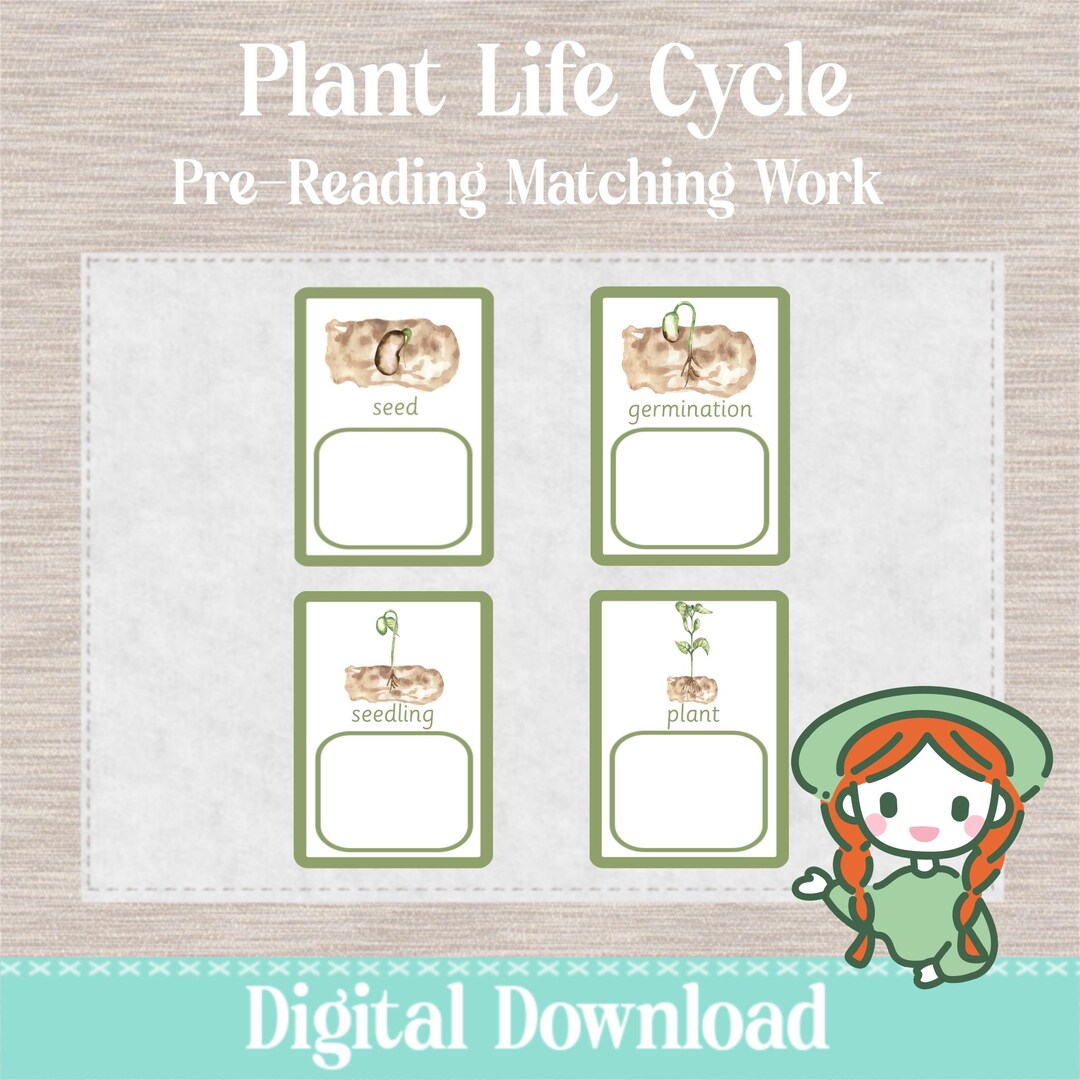 PLANT Life Cycle Montessori Pre Reading Language Matching Cards - Etsy