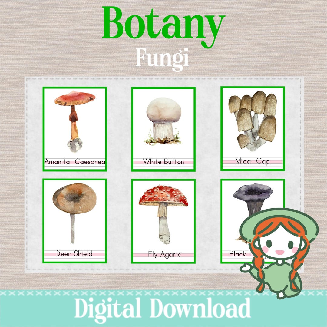 Types of MUSHROOMS - 3 Part Nomenclature Cards - Montessori Botany ...