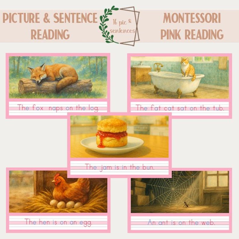 PINK READING CVC Montessori Picture Sentence Matching 3 Part Cards ...