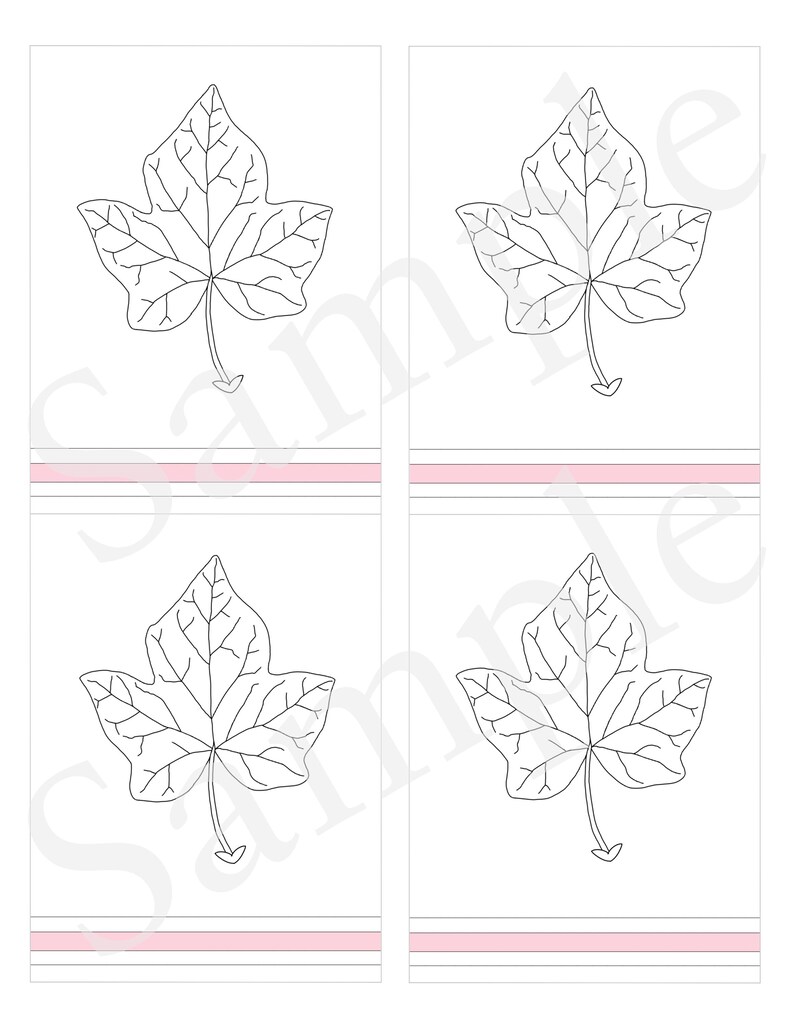 PARTS of the LEAF - 3 Part Nomenclature Cards - Montessori Botany ...