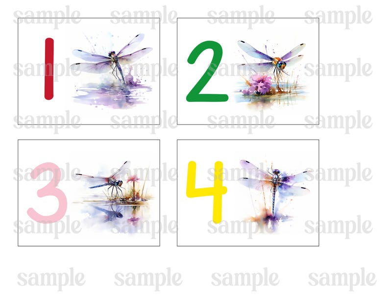 Montessori DRAGONFLY Cards for Counters Math Printable PDF - Etsy
