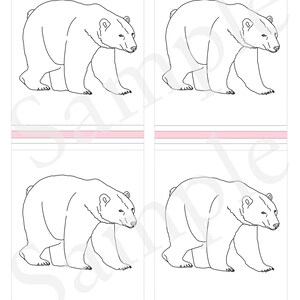 Parts of the POLAR BEAR - 3 Part Nomenclature Cards - Montessori ...