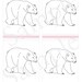 Parts of the POLAR BEAR - 3 Part Nomenclature Cards - Montessori ...