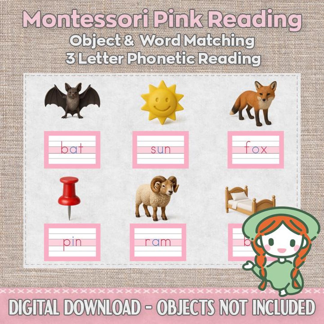 PINK READING CVC Montessori Object Word Card Matching Language *objects ...