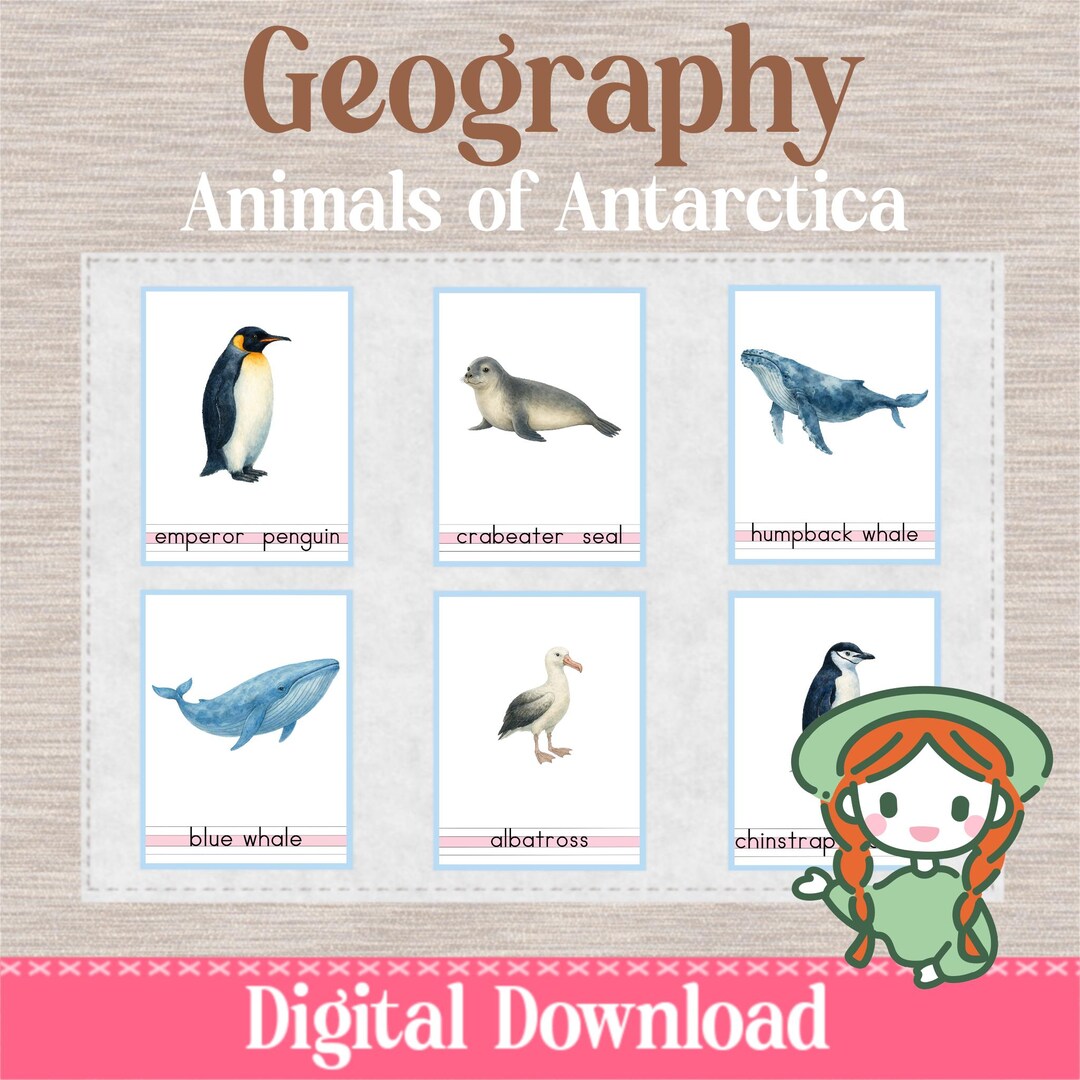 ANIMALS of ANTARCTICA - 3 Part Nomenclature Cards - Montessori ...