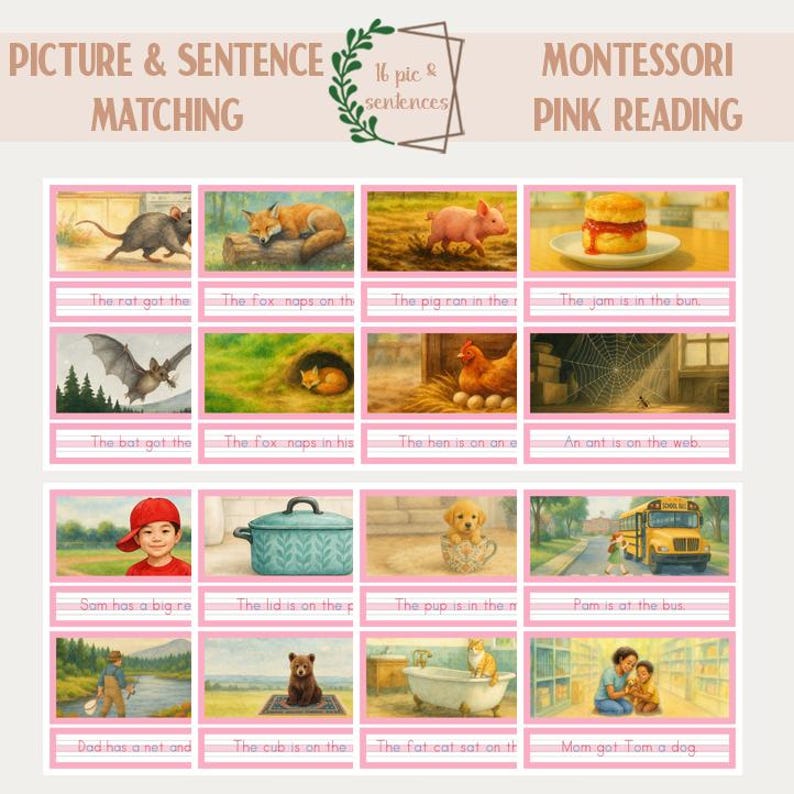 PINK READING CVC Montessori Picture Sentence Matching Cards Language - Etsy