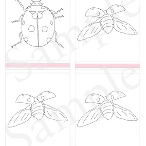 PARTS of the LADYBUG - 3 Part Nomenclature Cards - Montessori Zoology ...