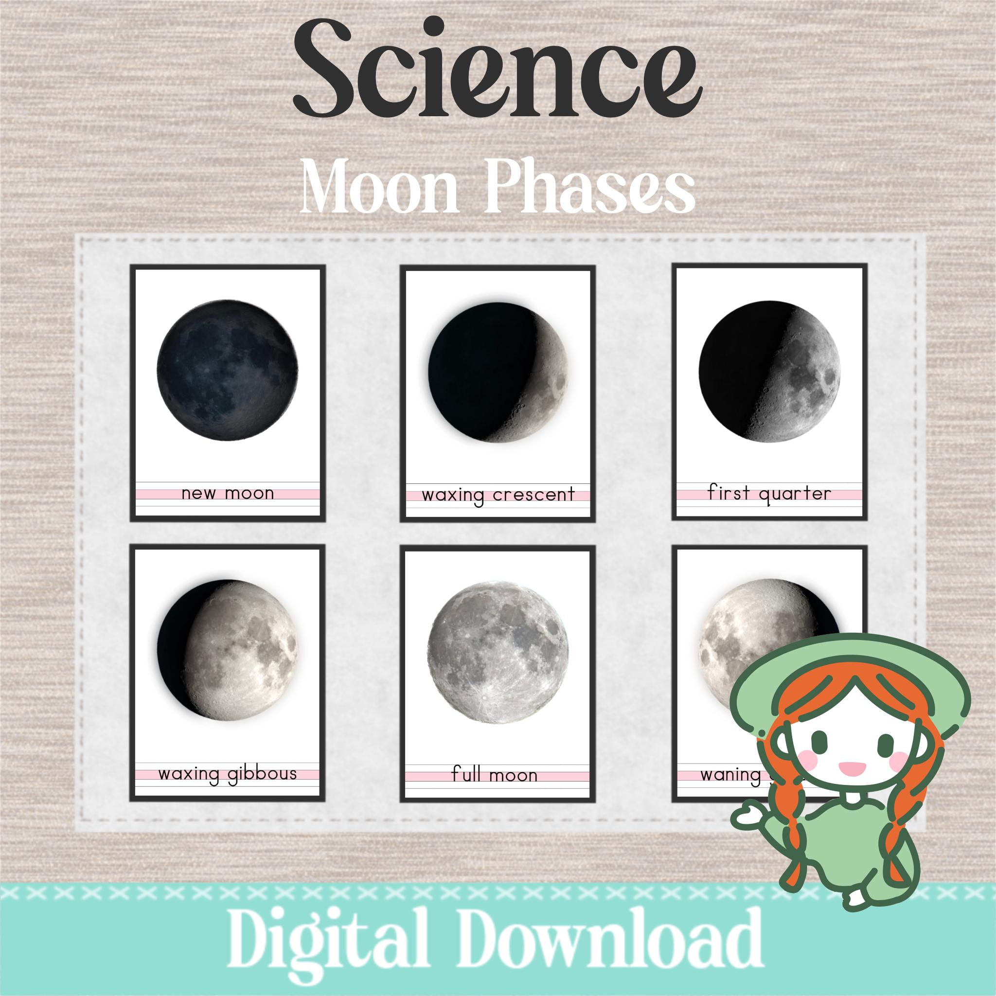 Phases Of The Moon Montessori 3 Part Nomenclature Cards Visual