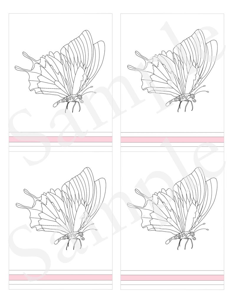 PARTS of the BUTTERFLY - 3 Part Nomenclature Cards - Montessori Zoology ...
