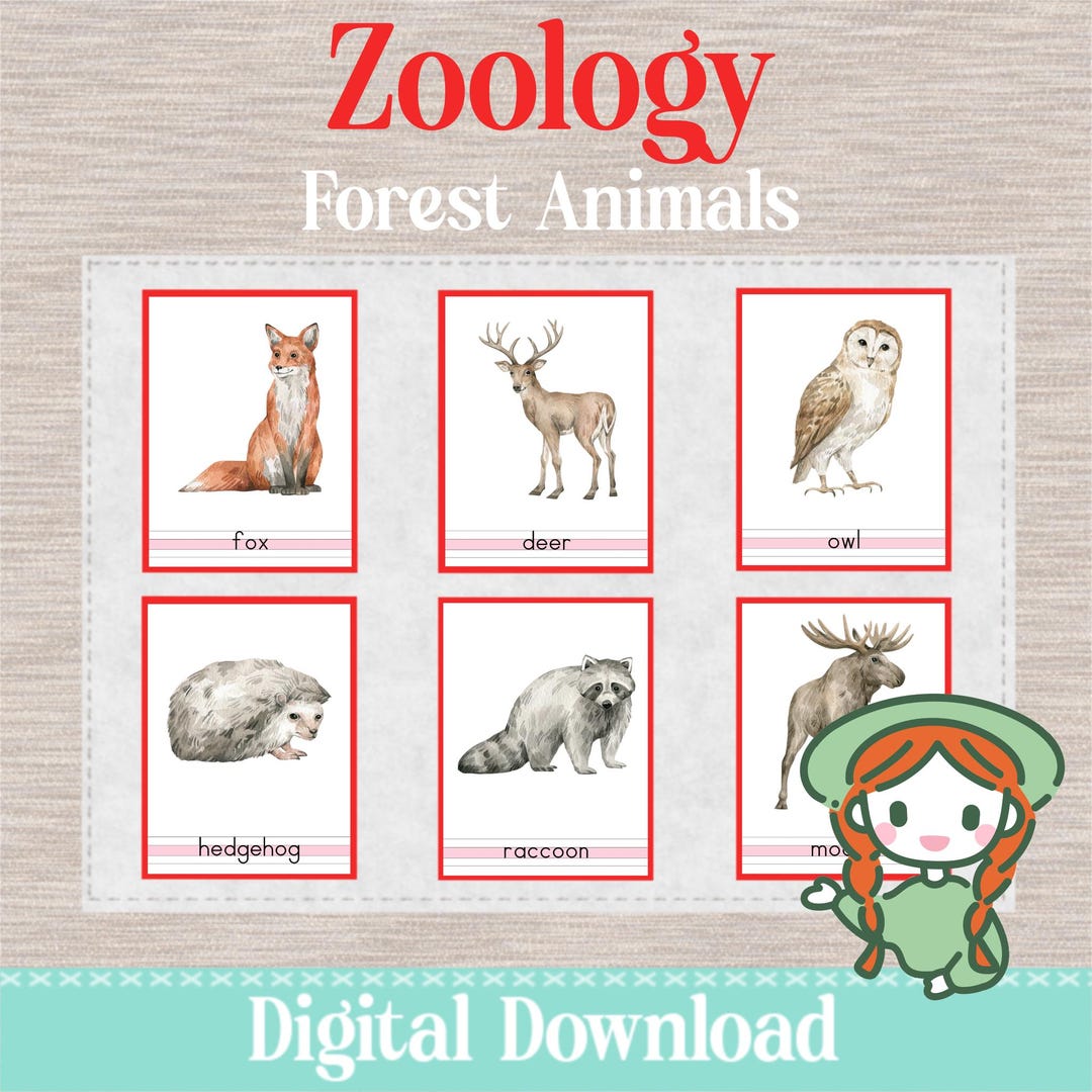 TYPES of FOREST ANIMALS 3 Part Nomenclature Cards - Montessori Zoology ...