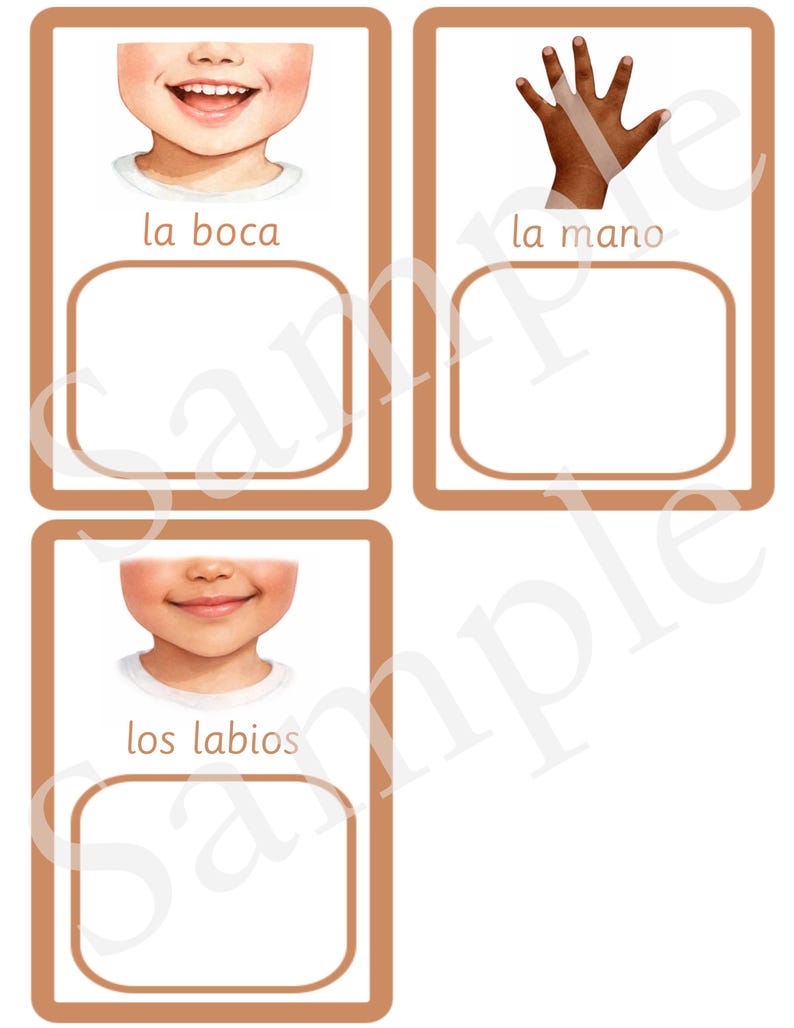 Body Parts - Partes Del Cuerpo - Montessori SPANISH Pre Reading ...