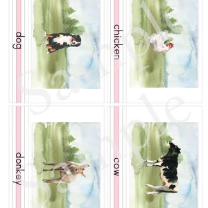 FARM ANIMALS - 3 Part Nomenclature Cards - Montessori Zoology Science ...
