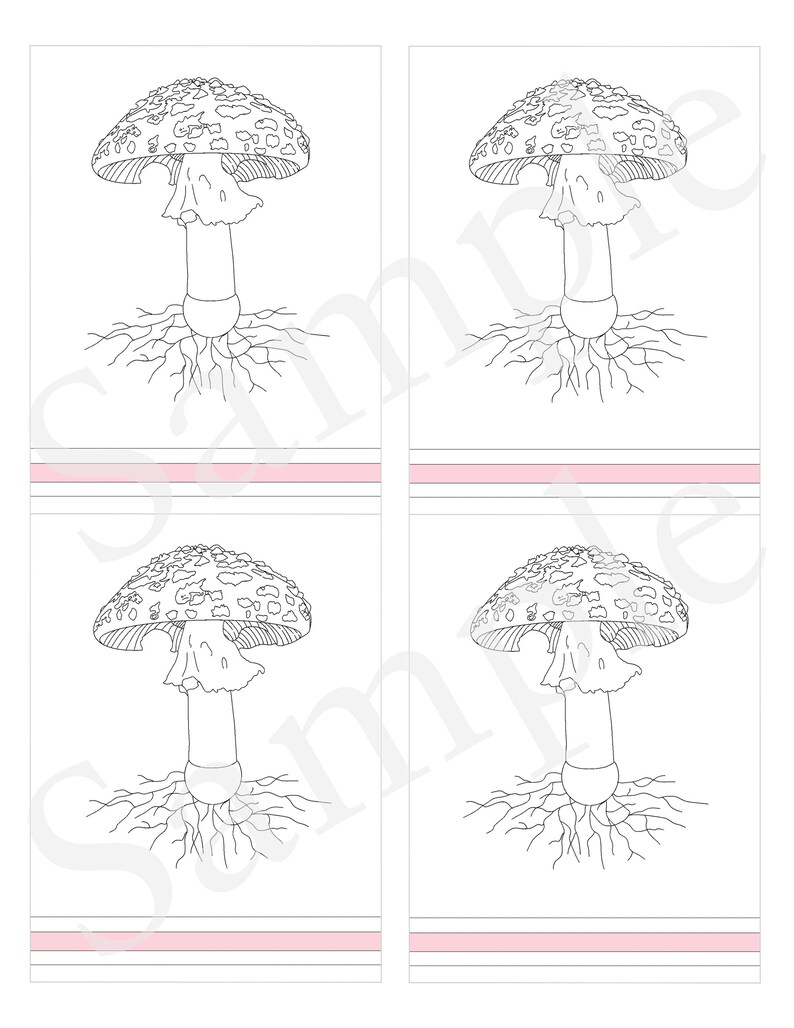 PARTS of the MUSHROOM - 3 Part Nomenclature Cards - Montessori Botany ...