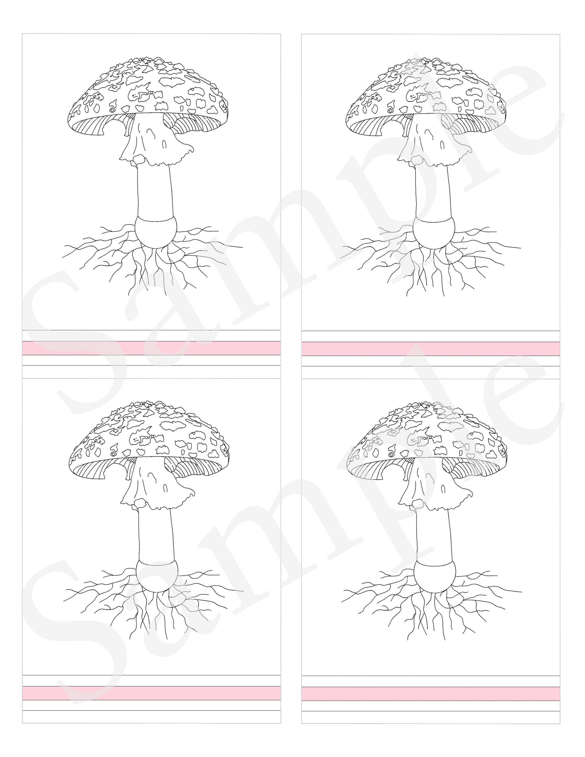 PARTS of the MUSHROOM - 3 Part Nomenclature Cards - Montessori Botany ...