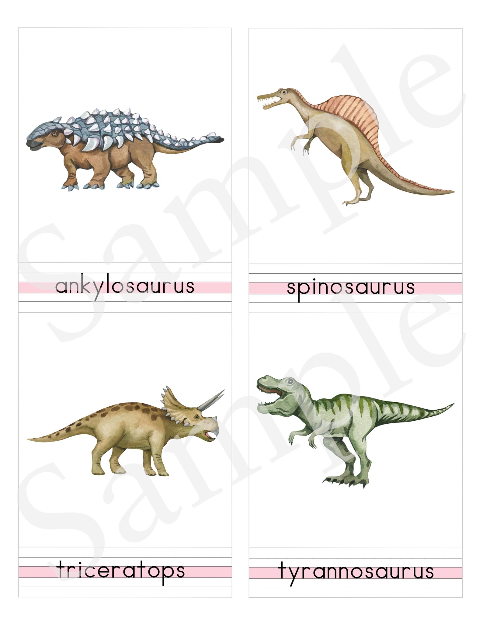 Types of DINOSAURS - 3 Part Nomenclature Cards - Montessori Zoology ...