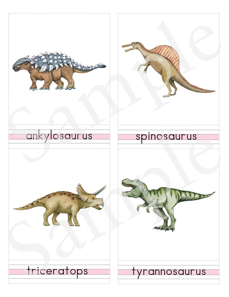 Types of DINOSAURS - 3 Part Nomenclature Cards - Montessori Zoology ...