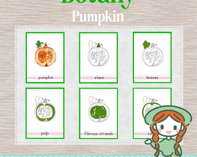 Parts of a Plant Nomenclature 3-part Cards & Blackline Master ...